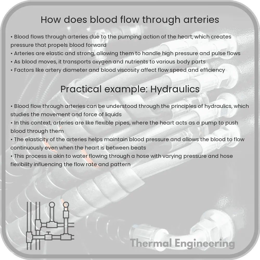 How Does Blood Flow Through Arteries?