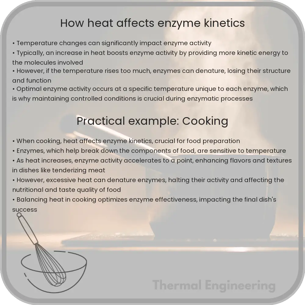 How heat affects enzyme kinetics